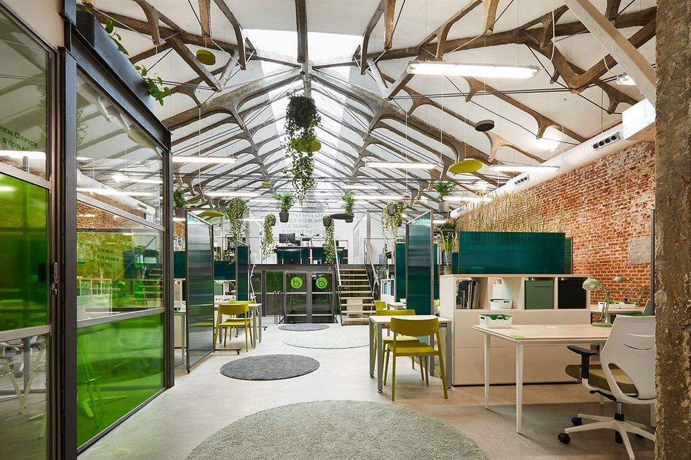 The Rookies - butic The New School